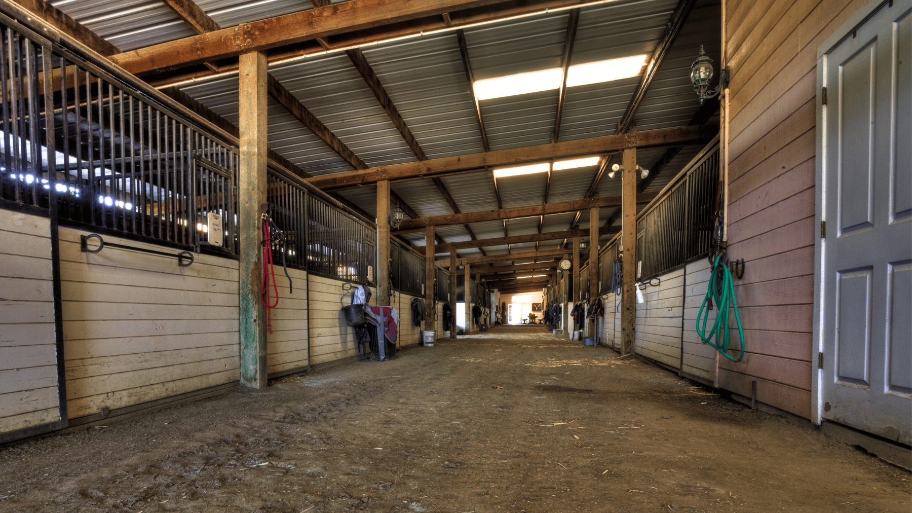 5 Types of Livestock Pole Barns